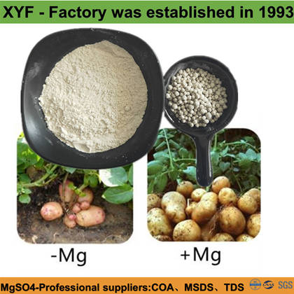 fertiliser producers,areca special fertilizer