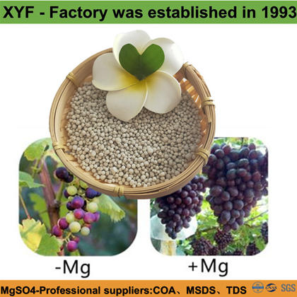 magnesium sulphate agriculture fertilizer uses
